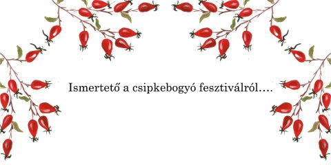 Csipkebogyó Fesztivál – Szarvasko.hu